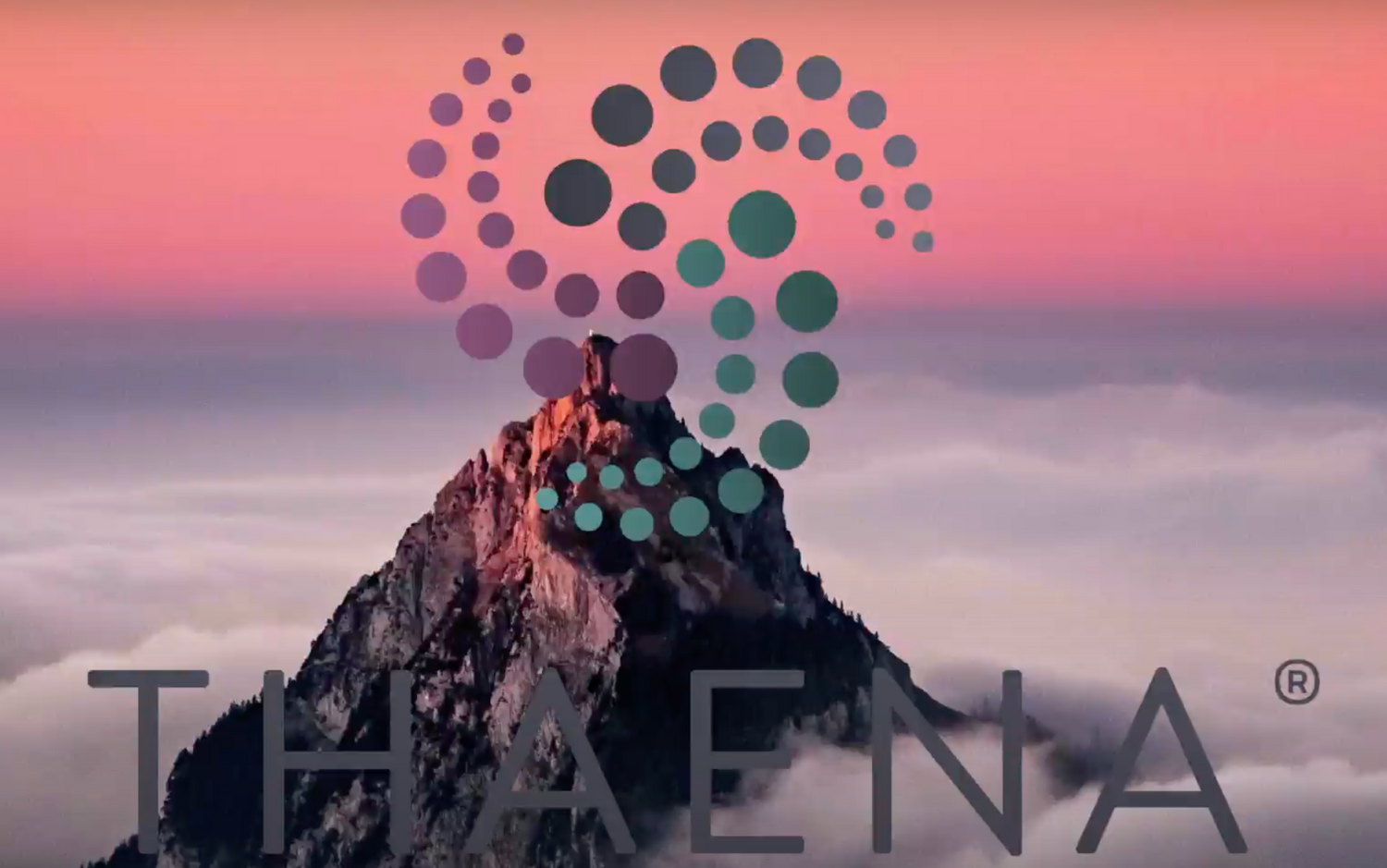 Video – Thaena Inc.